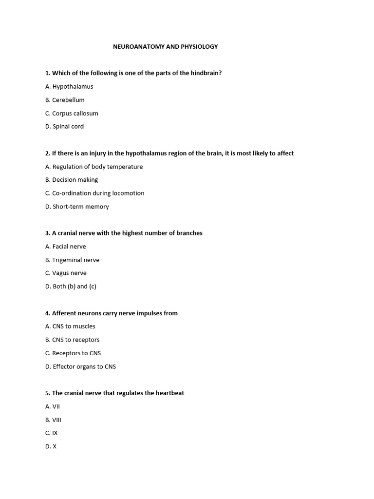 Neuroanatomy and Physiology , Excretory Mcq | PDF | Kidney | Urinary System