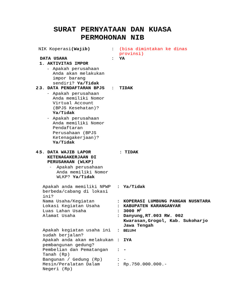 KEKURANGAN SURAT PERNYATAAN DAN KUASA PERMOHONAN NIB | PDF