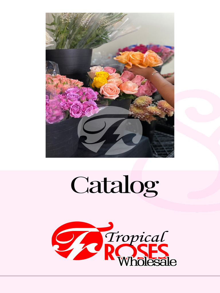 Tropical Roses Wholesale | PDF