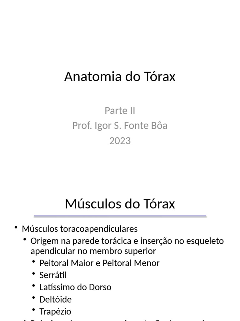 Músculos do Tórax: Funções e Anatomia | PDF