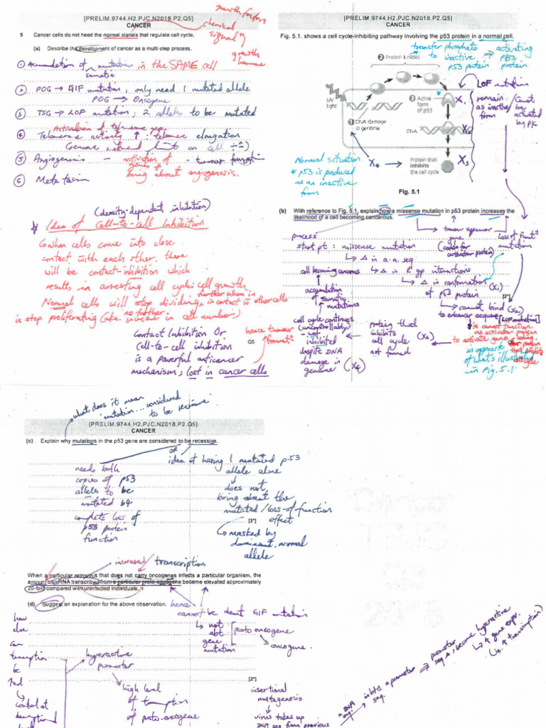 Topic 2.6 P2 (PJC Q5) Annotated | PDF | Biochemistry | Chemistry