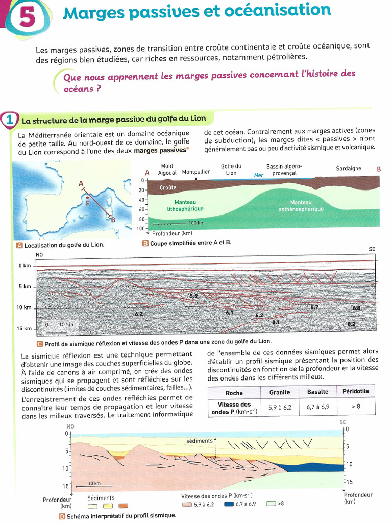 Marge Passive 1 | PDF