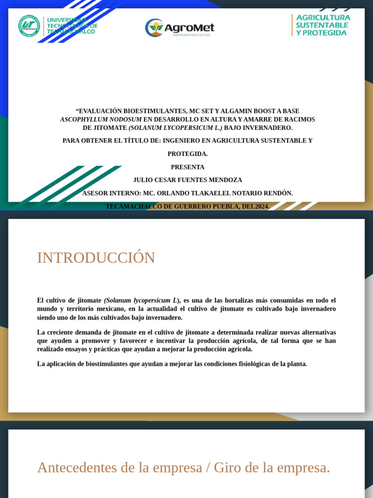 JULIO CESAR FUENTES MENDOZA Presentacion Titulacion. | PDF ...