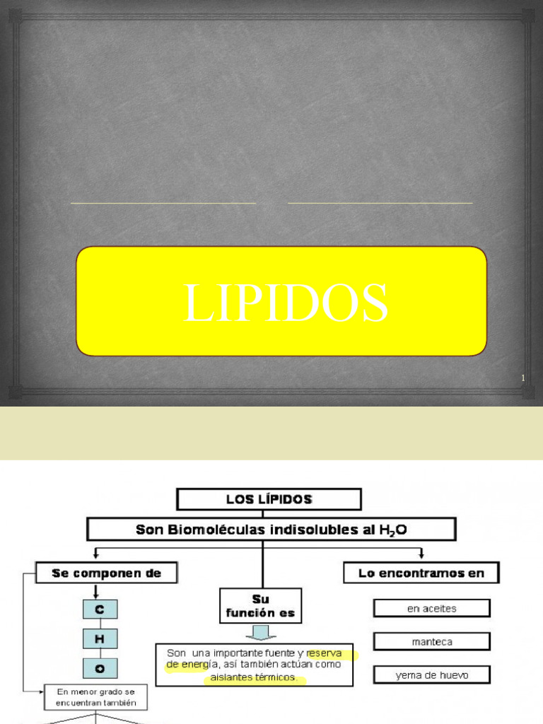 3. lipidos | PDF | gordo | Lípido