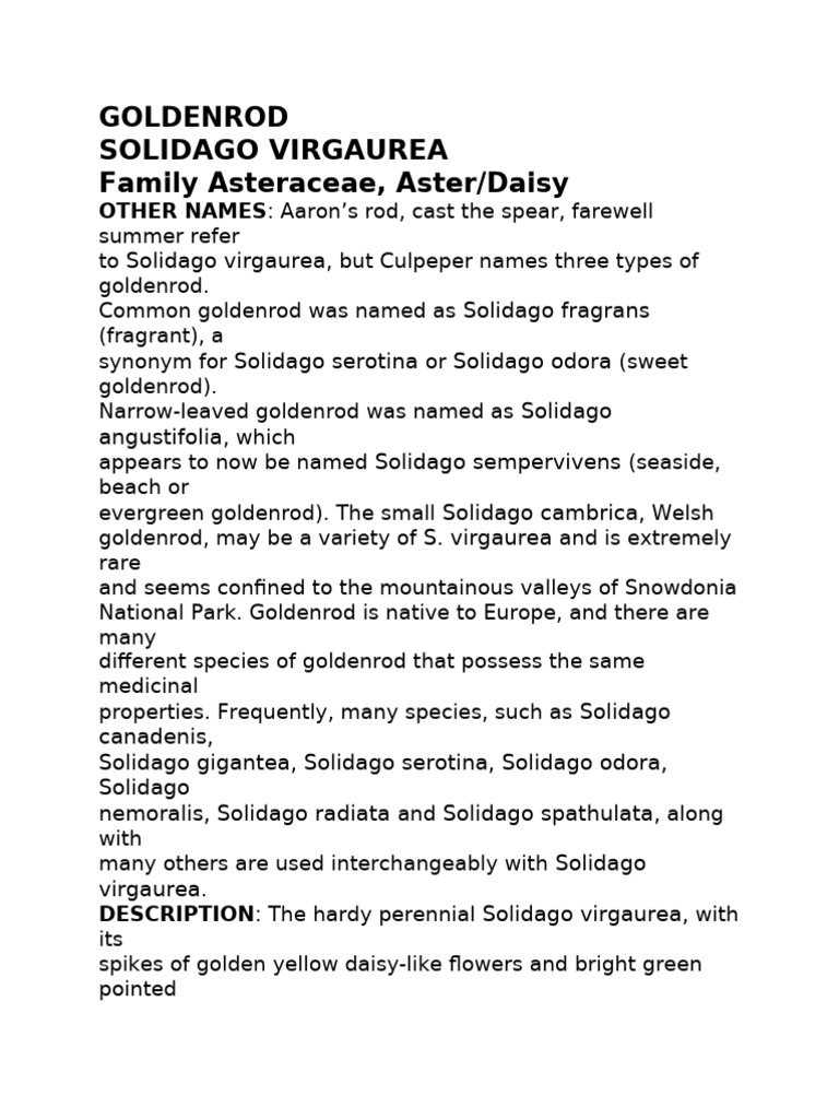 Herbal uses of Goldenrod | PDF