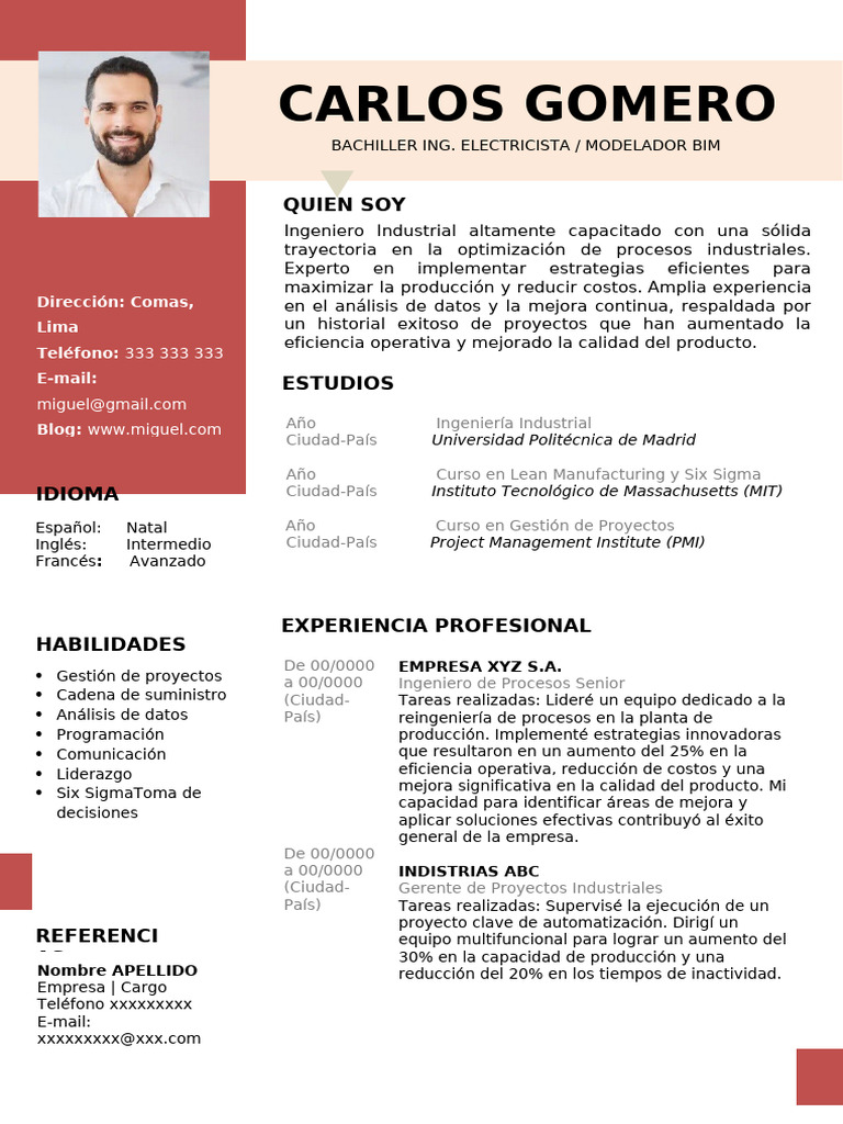 cv49 | PDF | Gestión de proyectos | Ingeniería Industrial