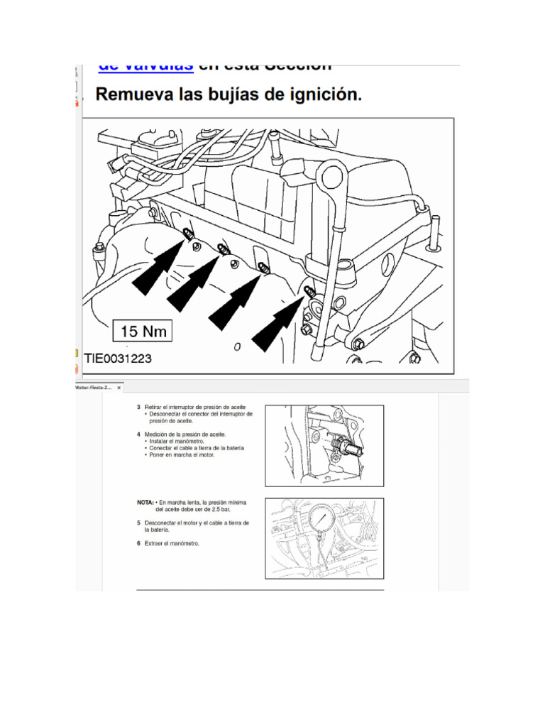 Torques Zetec 2548 2024 | PDF
