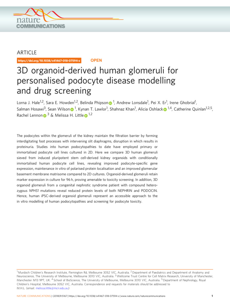 3D organoid-derived human glomeruli for personalised podocyte disease ...