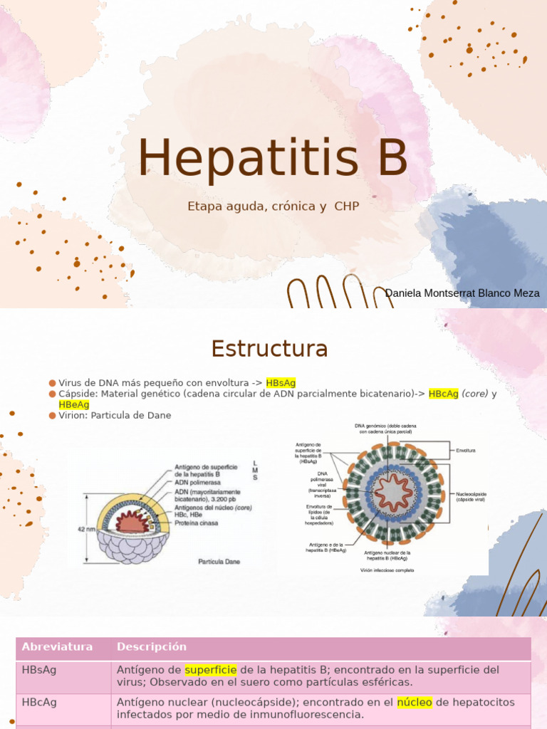 Hepatitis B VHB-2 | PDF | Hepatitis | Hepatitis B