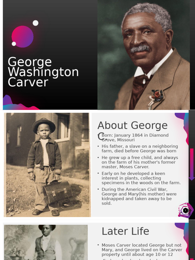 George Washington Carver's Innovations | PDF | Peanuts | Agriculture