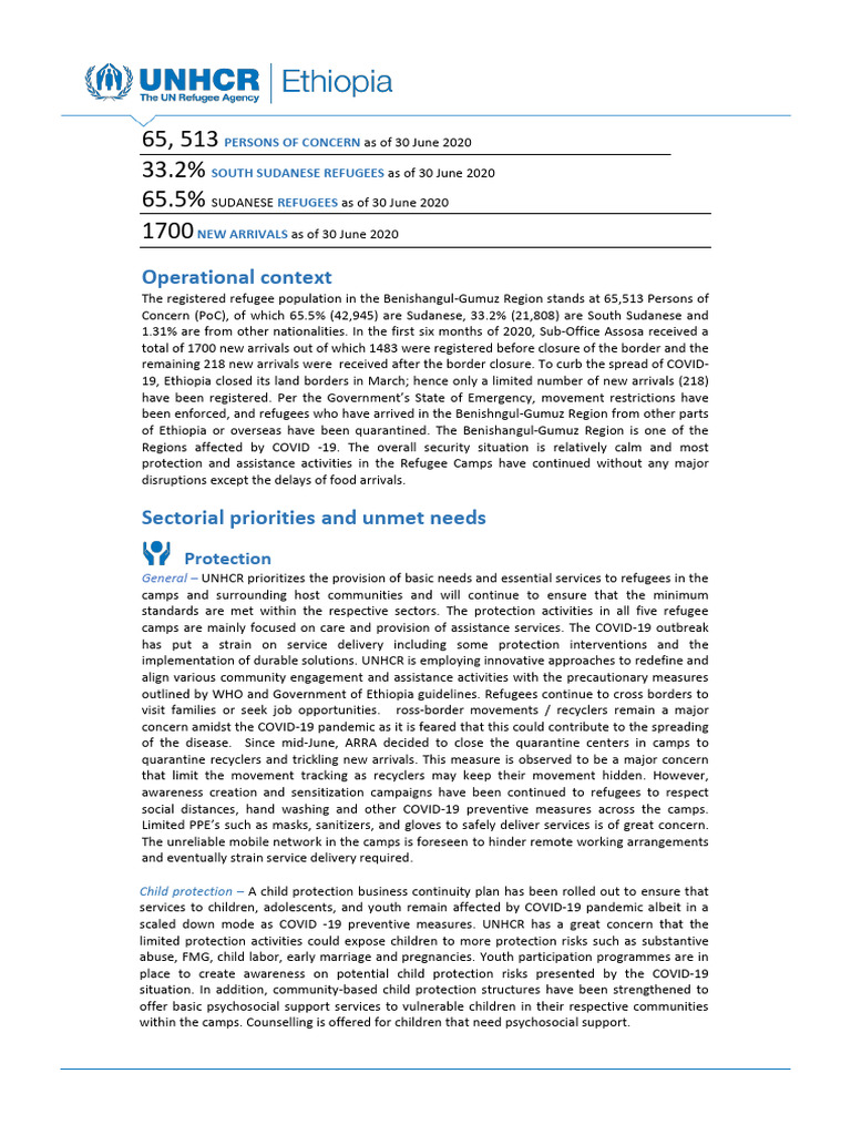 Benishangul-Gumuz Refugee Update 2020 | PDF | Refugee | United Nations ...