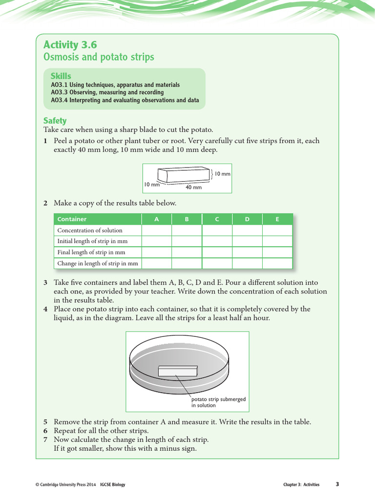 Osmosis Experiment with Potato Strips | PDF | Osmosis