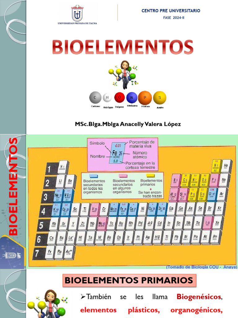 BIOELEMENTOS | PDF | Biomoléculas | Química Física
