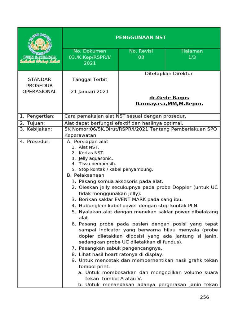 Penggunaan NST | PDF