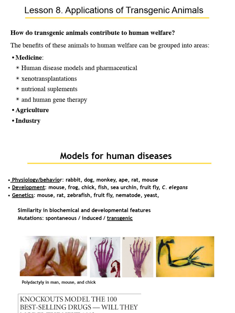 3.8 Aplications of Animal Transgenesis | PDF | Genetically Modified ...