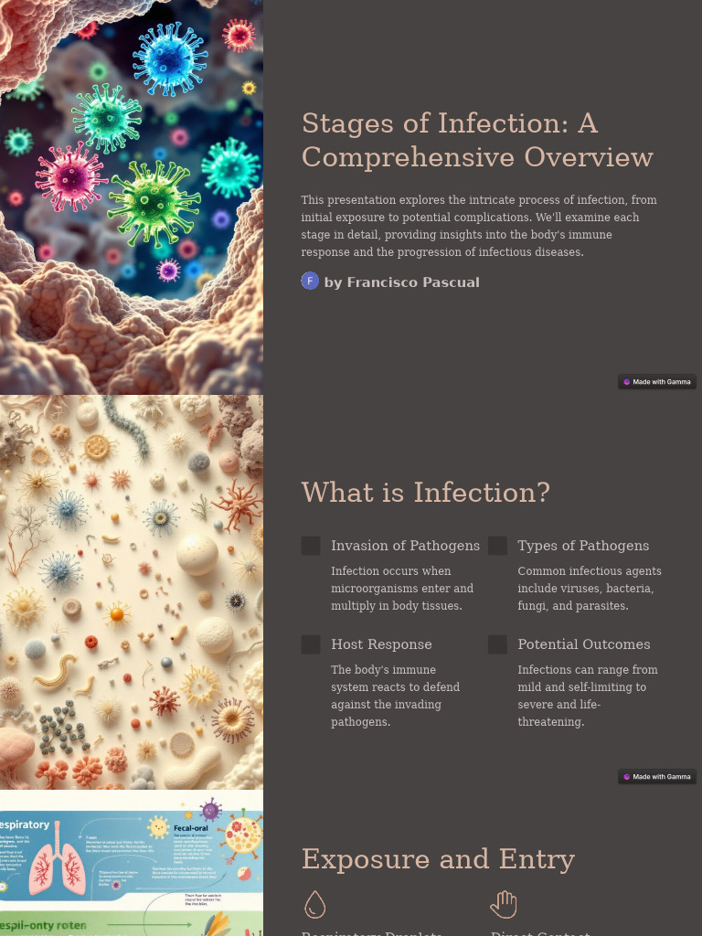 Stages of Infection Explained | PDF | Infection | Immune System