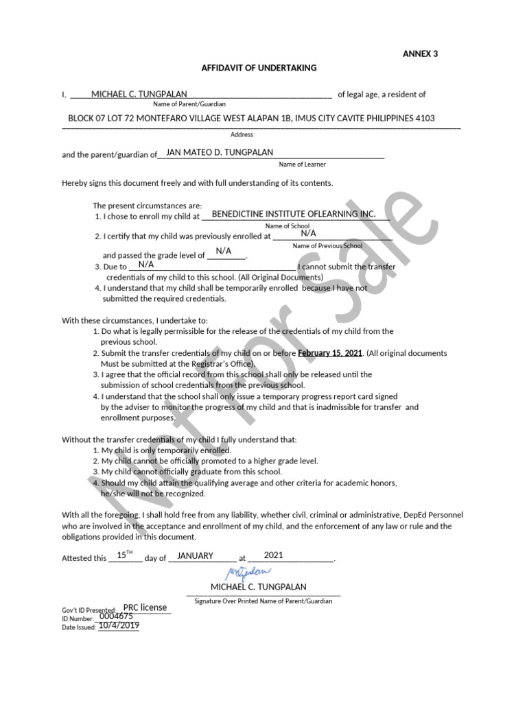 Affidavit of Undertaking | PDF | Justice | Crime & Violence