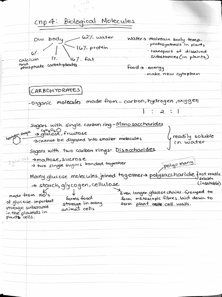 Biological Molecules | PDF