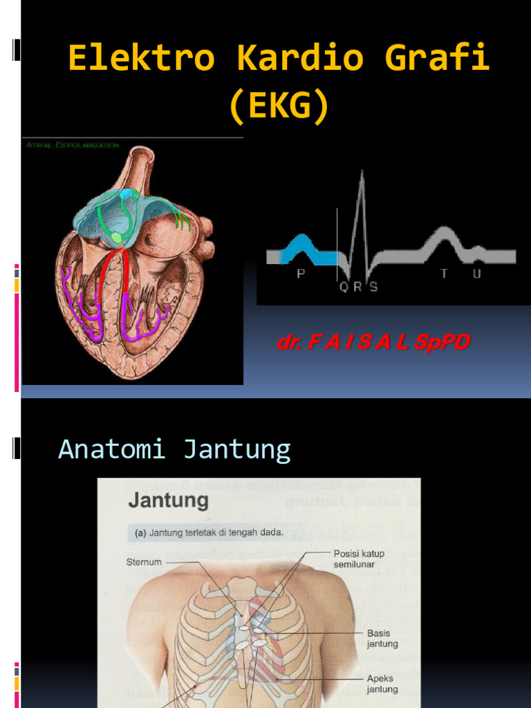 PP EKG Dr. Faisal | PDF