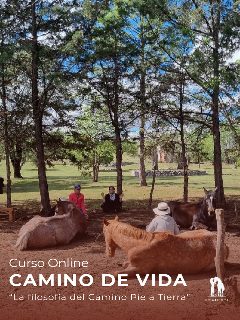 Camino de Vida - 1 | PDF | Sicología