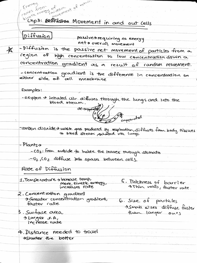 Movement in and Out The Cells | PDF