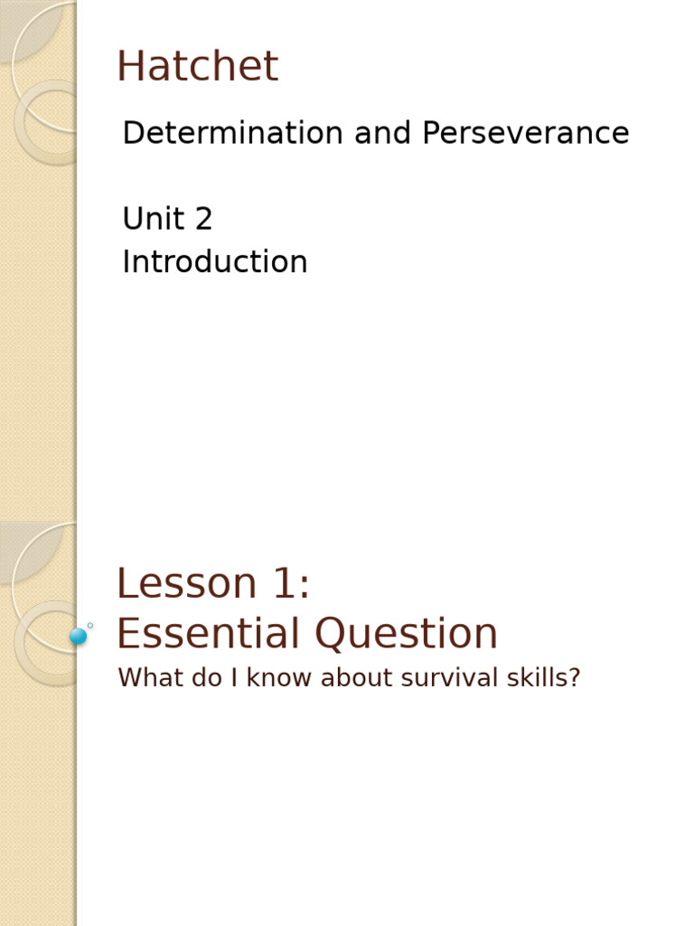 Hatchetppt Lesson Plan Combo | PDF | Narration | Pronoun
