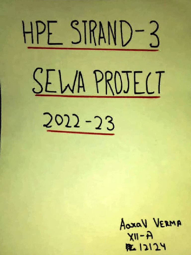 Aarav Verma XII A Sewa Project | PDF