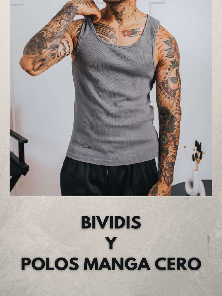 Bividi y Manga Cero | PDF