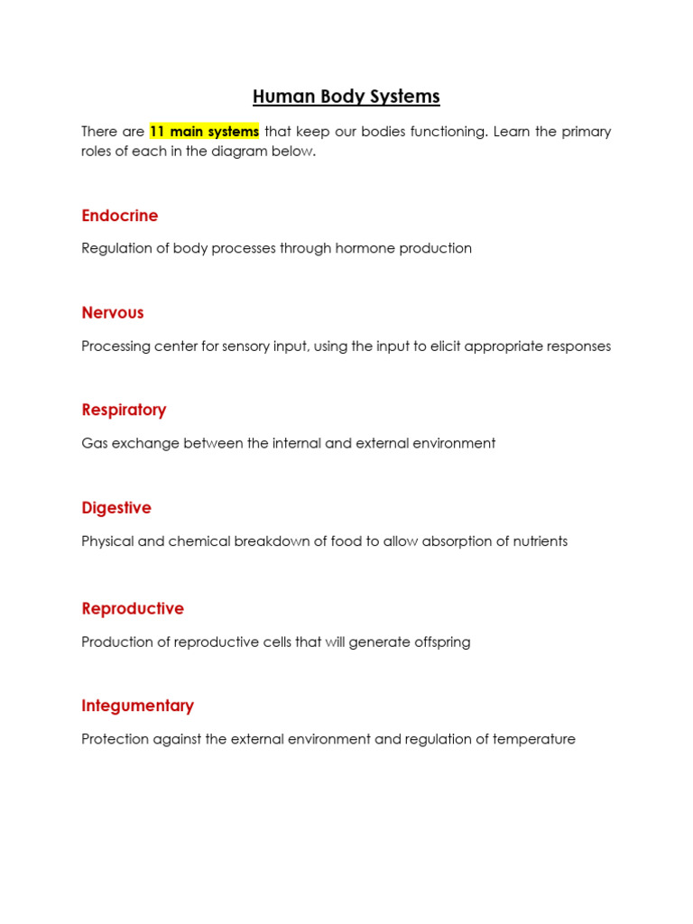 Human Body Systems | PDF