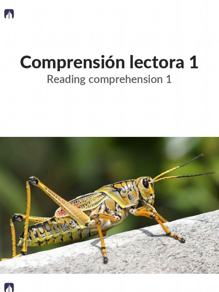 Comprensión Lectora (Level 2) | PDF
