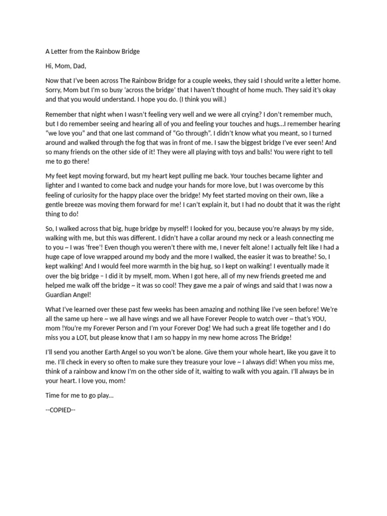 A Letter From The Rainbow Bridge | PDF