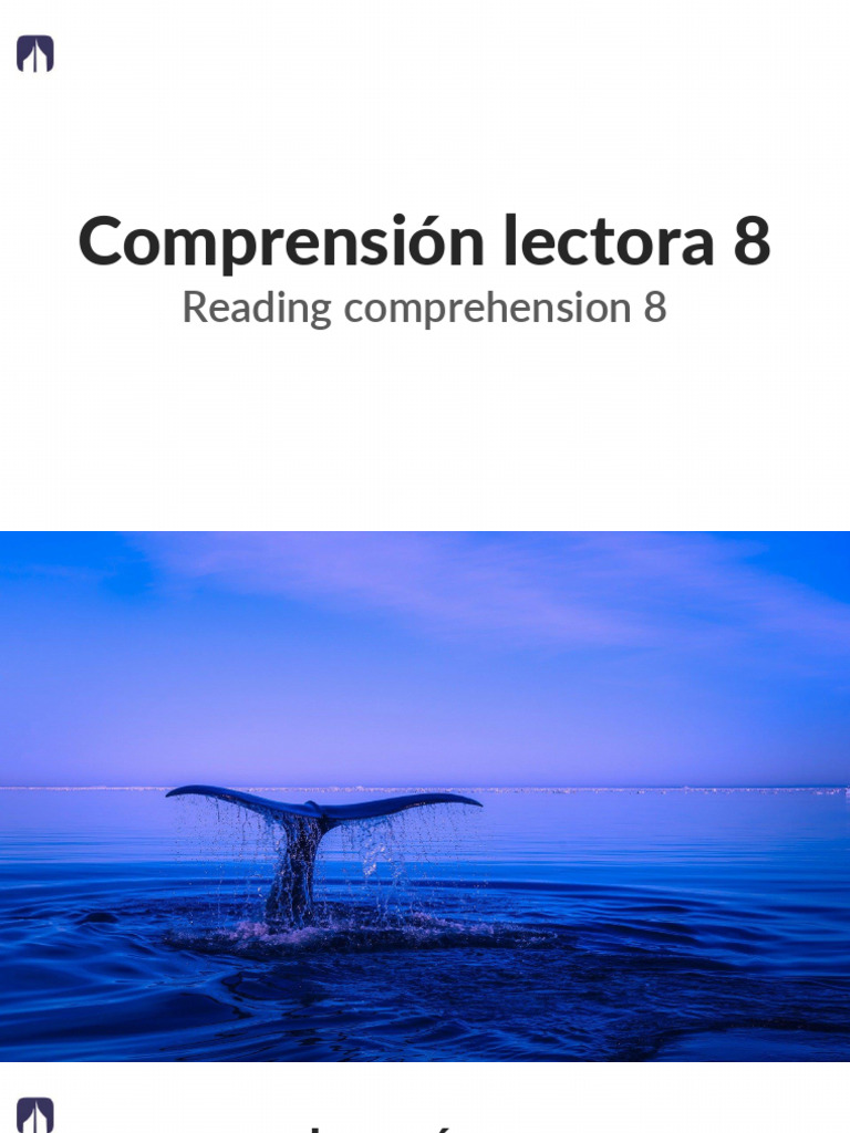 Comprensión Lectora (Level 3) | PDF