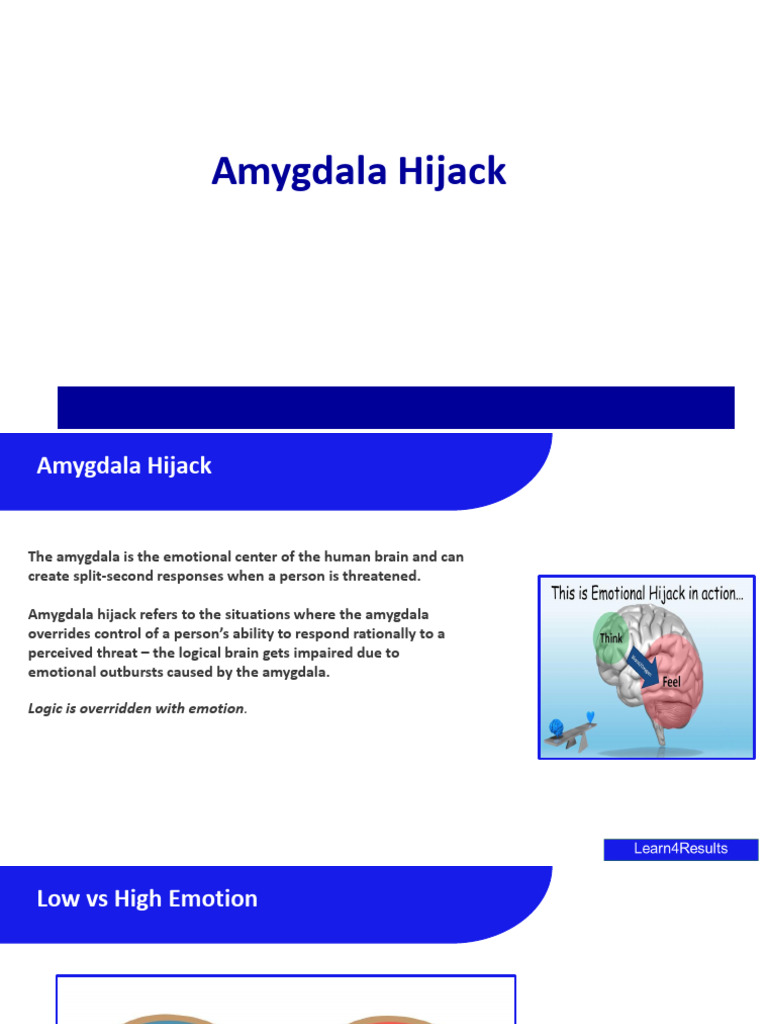 Amygdala Hijack | PDF