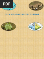 Chevauchement et Nappe de Charriage | PDF | Géologie structurale | Géologie