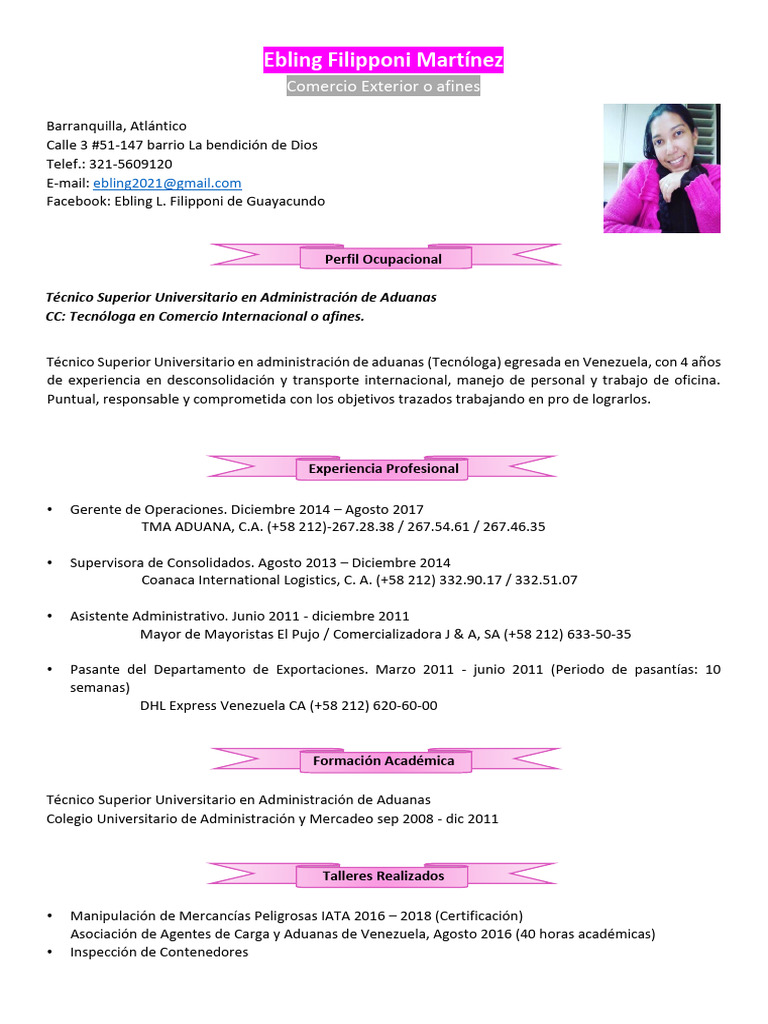 HOJA DE VIDA - Ebling Filipponi de G | PDF | aduana | Economias