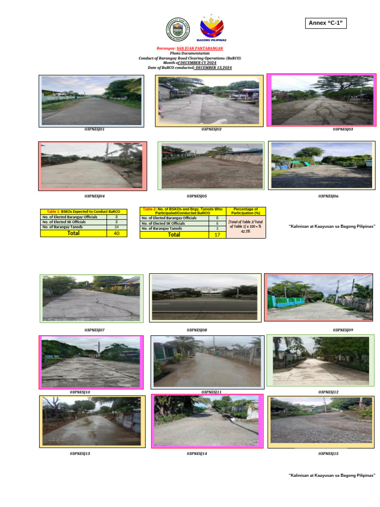 Barco Annex C-1San Juan December 2024 (1) | PDF