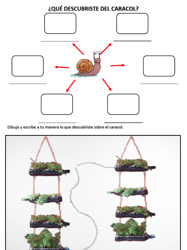MATERIAL Y FICHAS CARACOL | PDF