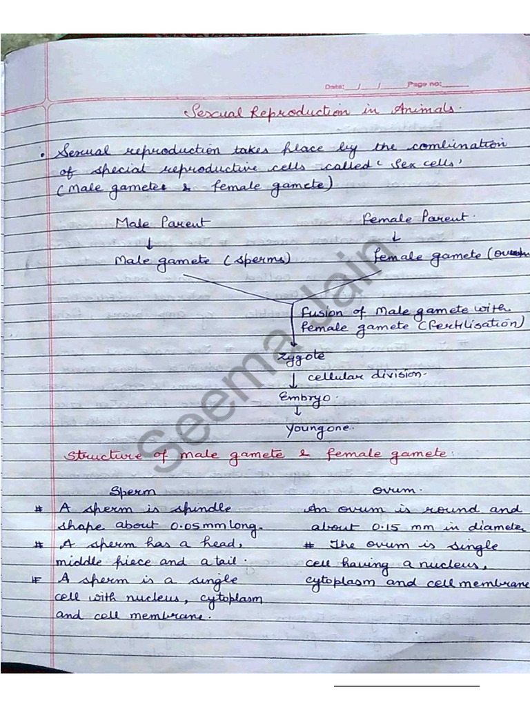 Sexual Reproduction in Animals_watermark | PDF