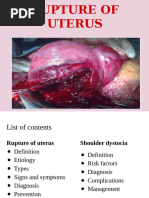 PMSMA Monthly Reporting Format | PDF | Pregnancy | Women's Health