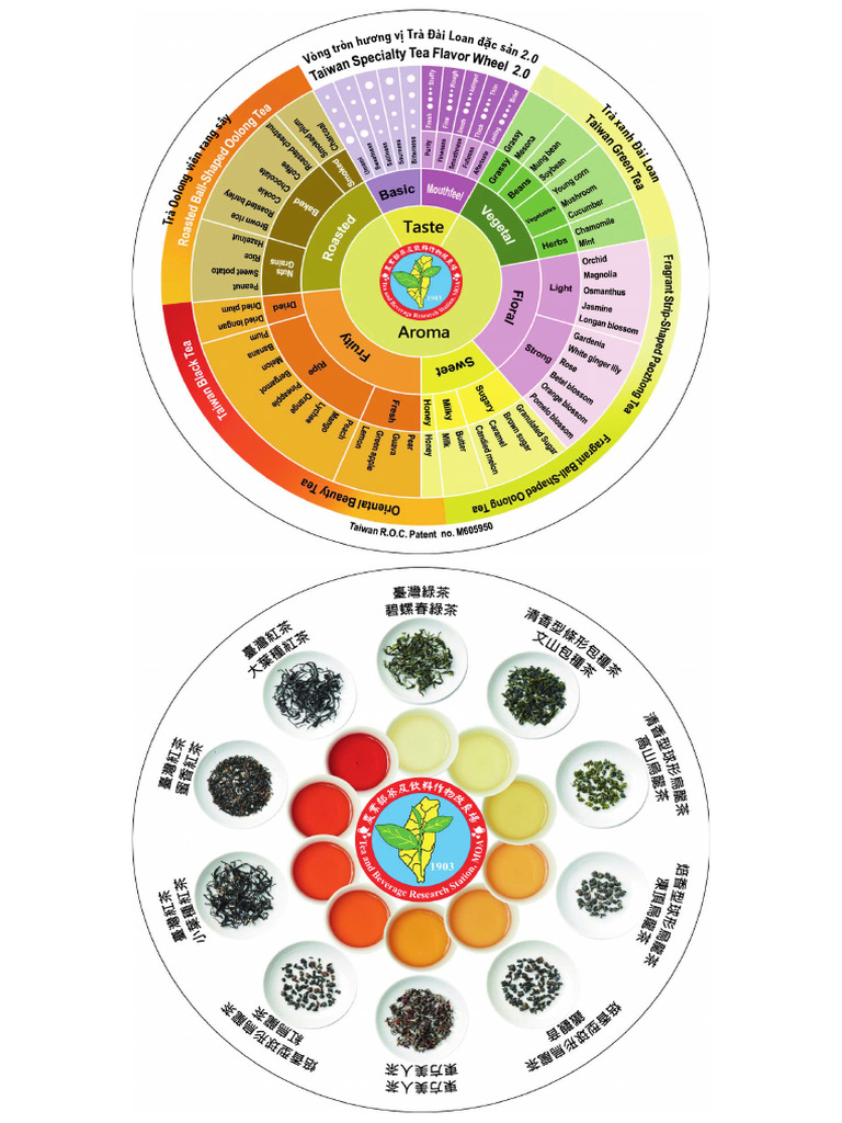 Tea Flavor Wheel | PDF