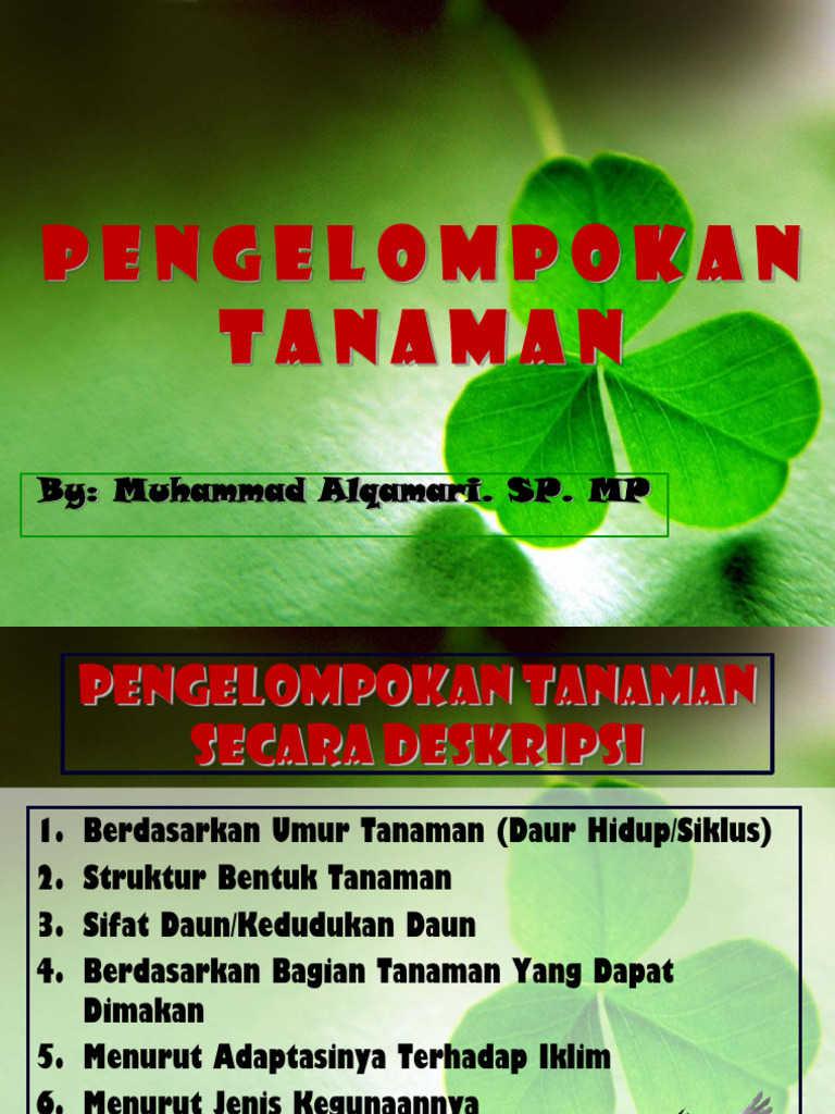 Pengelompokan Tanaman | PDF