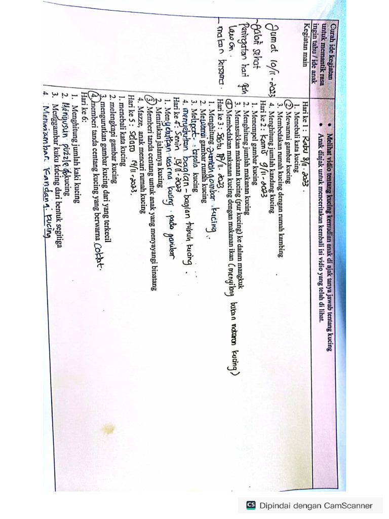 RPP PAUD Kelompok | PDF