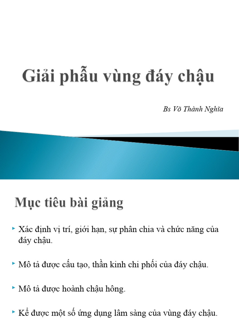 (Spring 2018) Anatomy II - Giai Phau Vung Day Chau | PDF