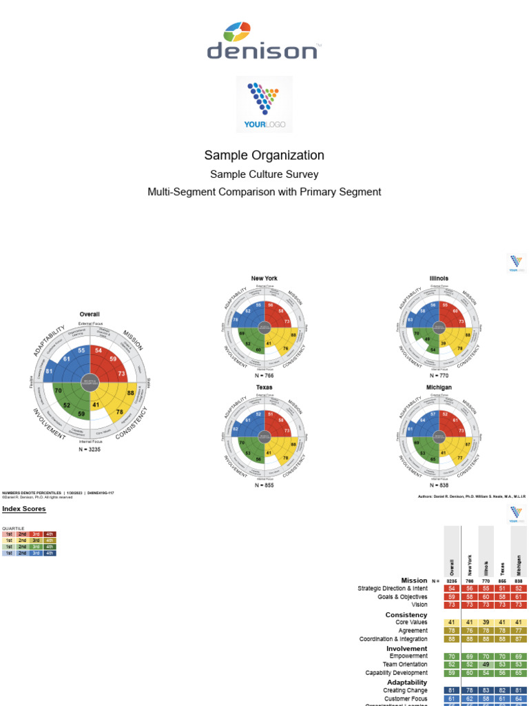 Multi Segment Comparison With Primary Segment | PDF | Goal ...