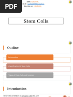 Stem Cells | PDF | Stem Cell | Cell Potency