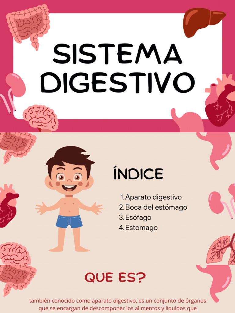 Sistema Digestivo - 20241205 - 090816 - 0000 | PDF
