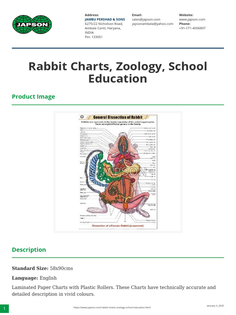 Rabbit Charts, Zoology, School Education | PDF
