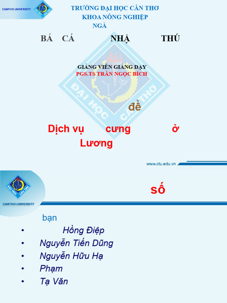 Bao Cao Nhom 3-Nhap Mon Ty-Dich Vu Thu Cung TAROVET | PDF