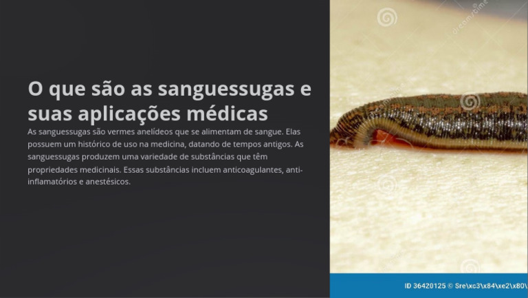Sanguessugas: Aplicações Médicas e Benefícios | PDF