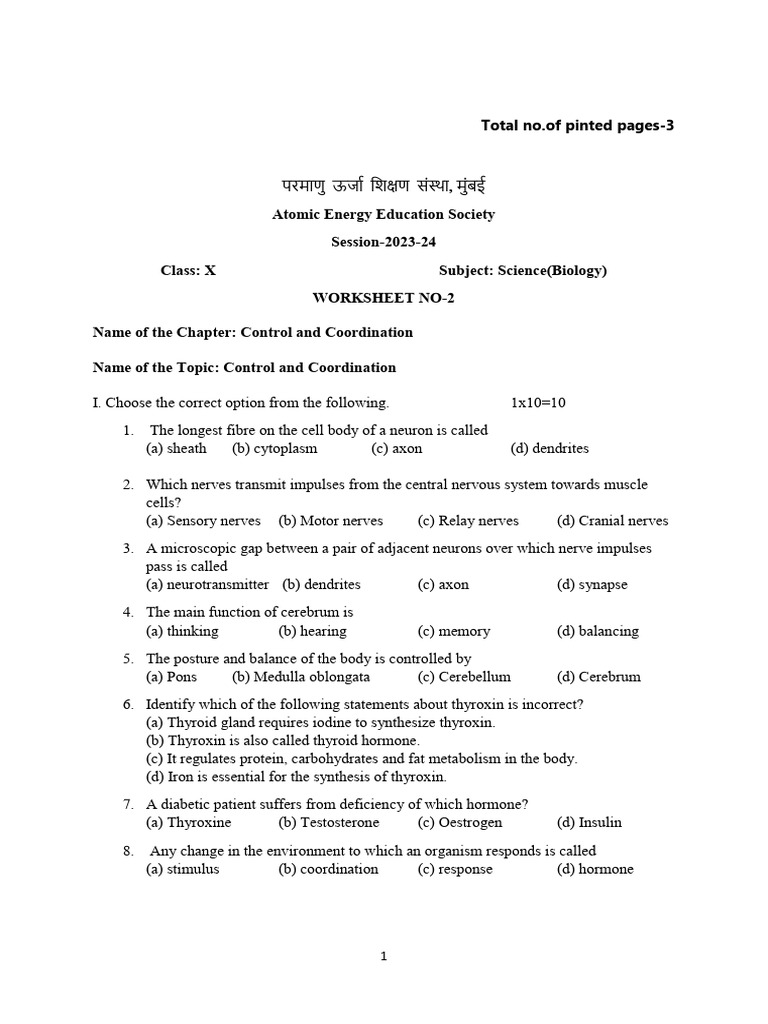 Class 10 Lesson 6 Biology Worksheet | PDF | Hormone | Nerve